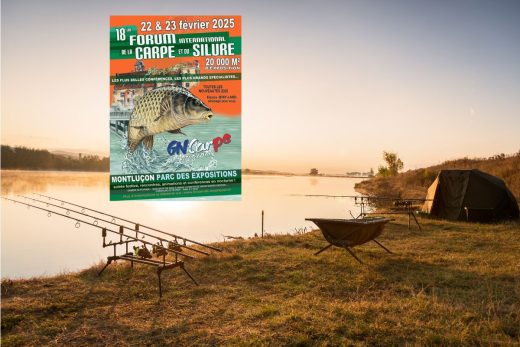 Choisir le bon fil de pêche pour la truite : enfin un guide avec toutes ...