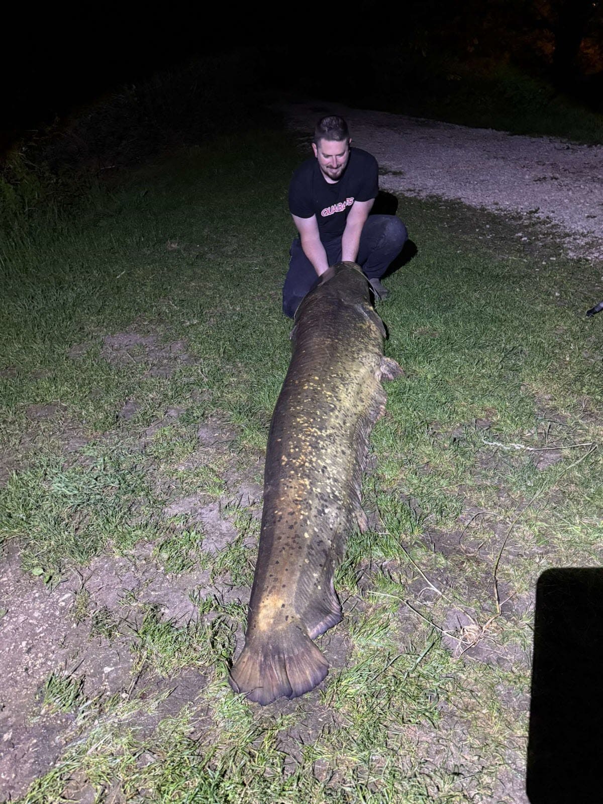 Plus d'une heure pour sortir ce silure monstrueux pêché de nuit, un ...