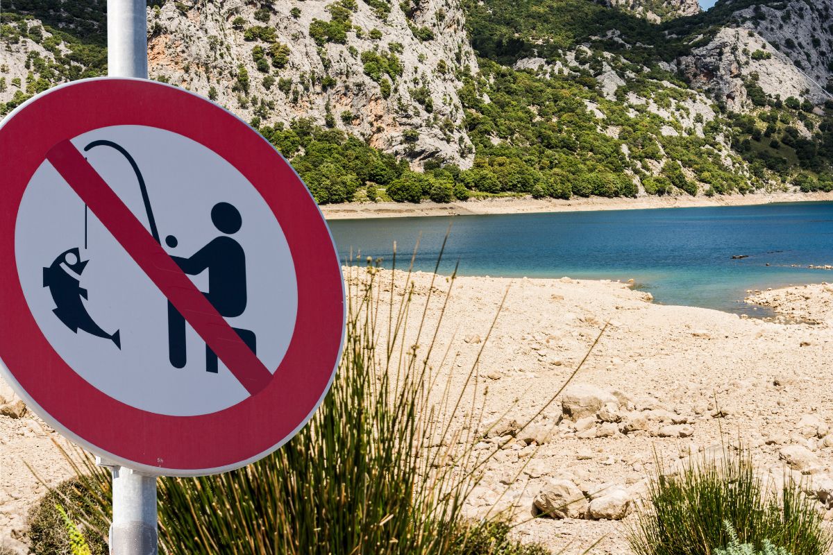 Choisir le bon fil de pêche pour la truite : enfin un guide avec toutes ...