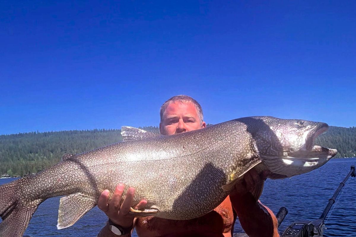 Choisir le bon fil de pêche pour la truite : enfin un guide avec toutes ...